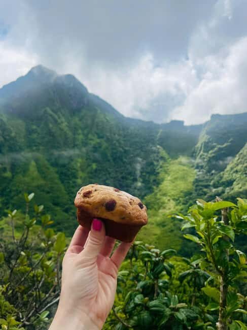 Hike St. Kitts: Highest peak Mount Liamuiga Volcano - FAQs