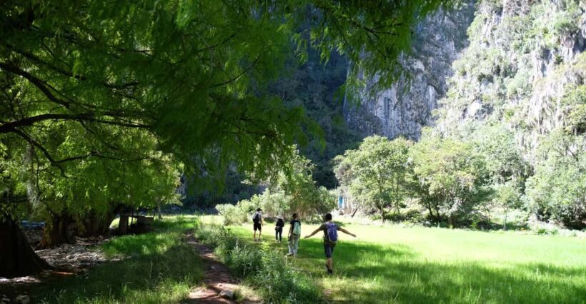 Hike + Swim at Apoala Waterfalls - The Guided Hike: A Journey Through Natural Wonders
