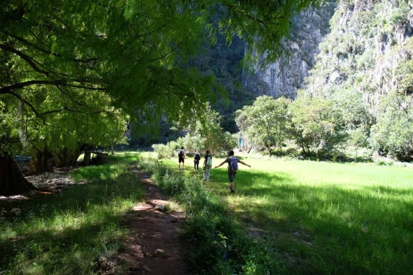 Hike + Swim at Apoala Waterfalls - The Lunch: Authentic Oaxaca Flavors