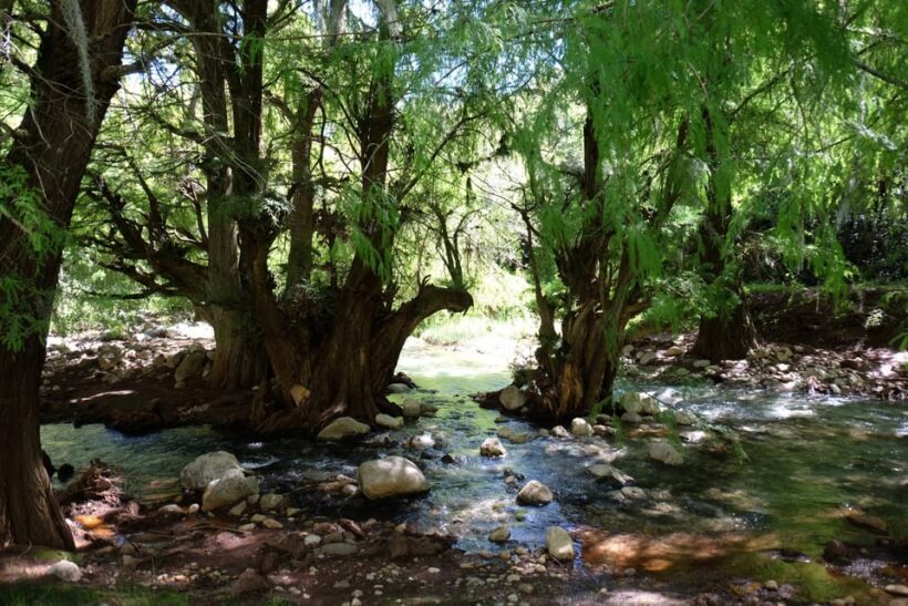 Hike + Swim at Apoala Waterfalls - Authentic Experience and Environmental Responsibility