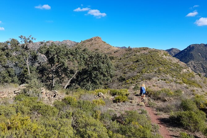 Hike the Cork Oak Trail and Try Some Delicious Cheese - The Picnic Lunch Experience