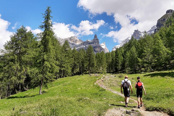 Hike the Dolomites: One Day Private Excursion From Bolzano - Positive Traveler Feedback