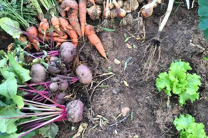 Hike The Historic Clifftops Of Lagos - The Value of a Private Guided Tour