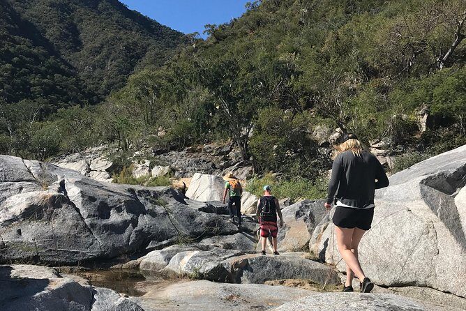 Hike the native Pericu road in Sierra de la Laguna. - The essence of the Sierra de la Laguna hike