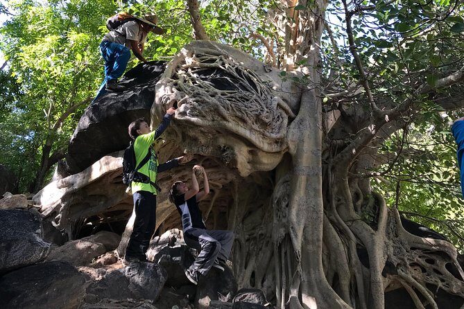 Hike the native Pericu road in Sierra de la Laguna. - What reviewers are raving about