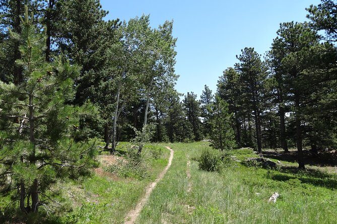 Hike the Rockies Half Day Tour - The Guide and Personal Touch