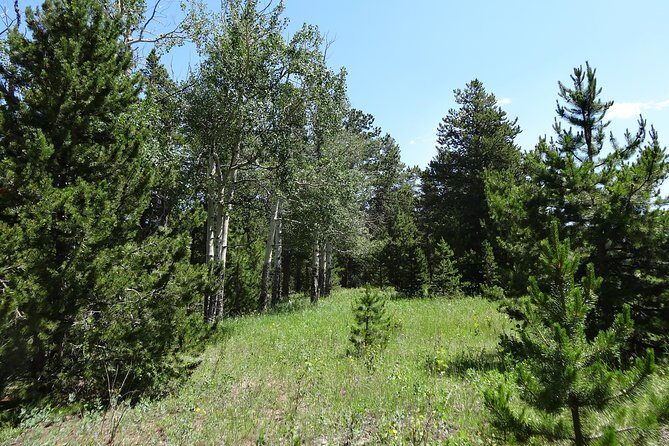 Hike the Rockies Half Day Tour - Value for Money