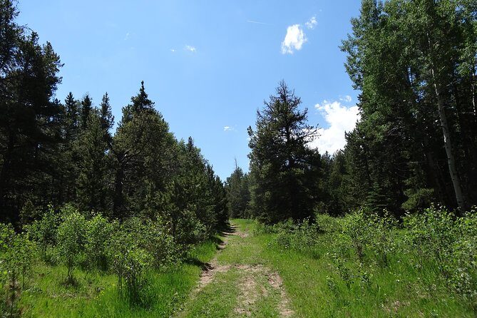 Hike the Rockies Half Day Tour - Authenticity and Reviews