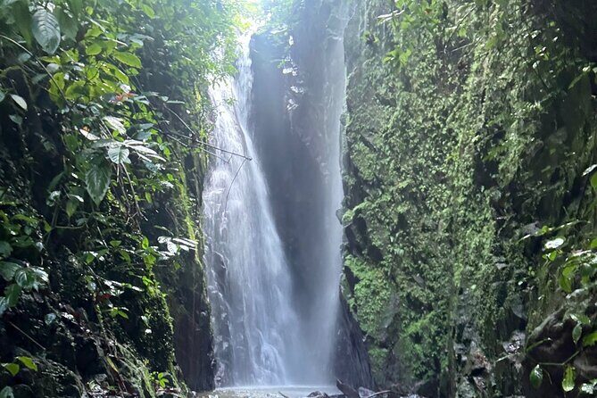 Hike To A Hidden Waterfall and Eat Local Puerto Rican Food - Who Will Love This Tour?