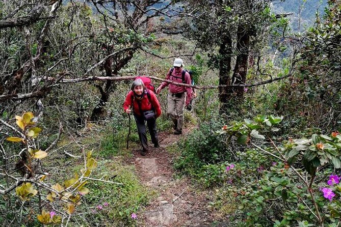 Hike to Kirigalpotta Mountain Via Horton Plains National Park - Key Points