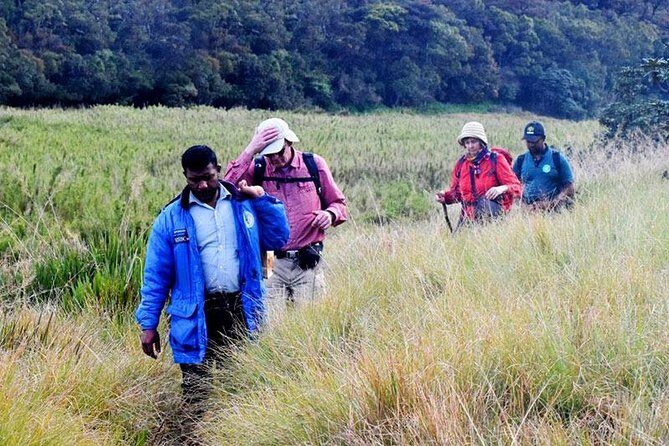 Hike to Kirigalpotta Mountain Via Horton Plains National Park - Final Thoughts: Is This Tour for You?