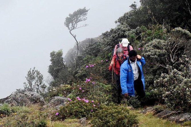 Hike to Kirigalpotta Mountain Via Horton Plains National Park - FAQ