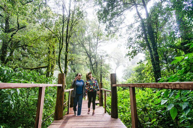 Hike to the Highest Spot + Waterfall in Chiang Mai - Final Thoughts on Value and Suitability
