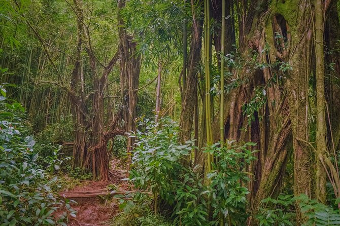 Hike Trail to Waterfall & Nature Walk - FAQ