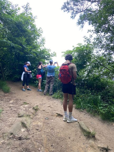 Hike Ulia | San Sebastian: El Camino de Santiago (The Way) - Key Points