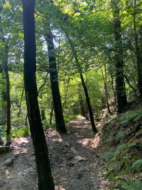 Hike Ulia | San Sebastian: El Camino de Santiago (The Way) - What Our Reviewers Say