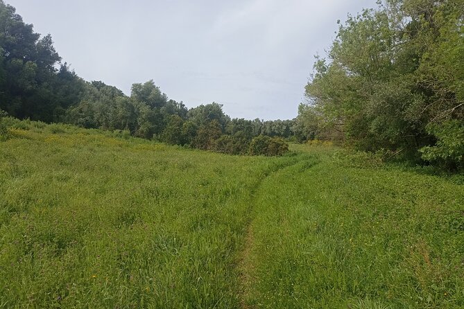 Hike & Wine Ericeira - The Value for Money