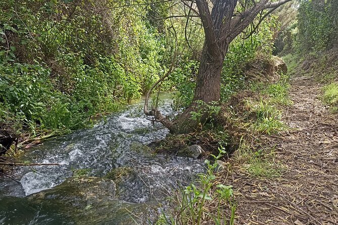 Hike & Wine Ericeira - The Sum Up