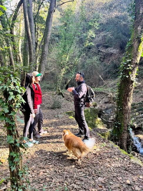 Hike with Lunch & Wine in da Vincis Land in Tuscany - Lunch and Wine: Tuscan Flavors and Flavors of Tuscany