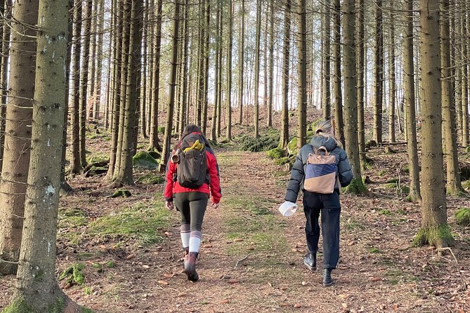 Hike with Wild Forage Surviving Tips and Local Lunch at the Lake - Introduction