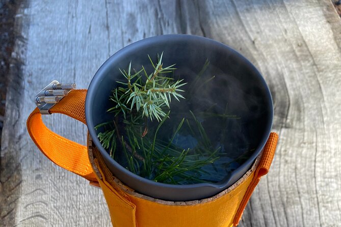 Hike with Wild Forage Surviving Tips and Local Lunch at the Lake - Practical Details and Logistics