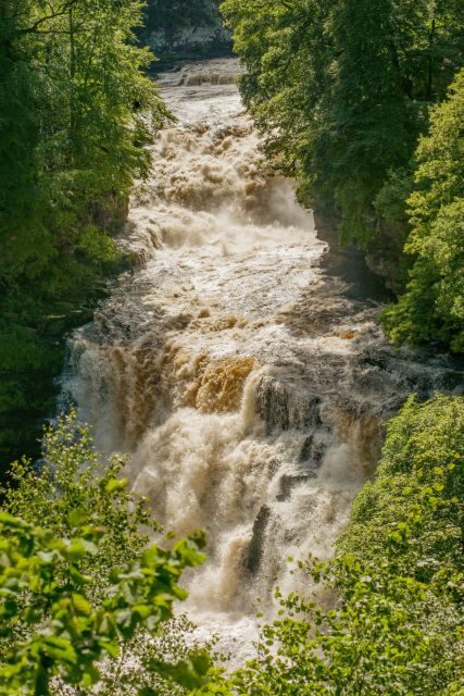 Hike World Heritage Reserve Waterfalls - Exploring the Waterfalls of the River Clyde: A Nature Lover’s Dream