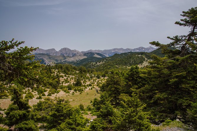 Hiking above Kalamata - The Reviews Speak for Themselves