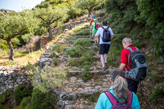 Hiking above Kalamata - Final Thoughts: Who Will Love This Tour?