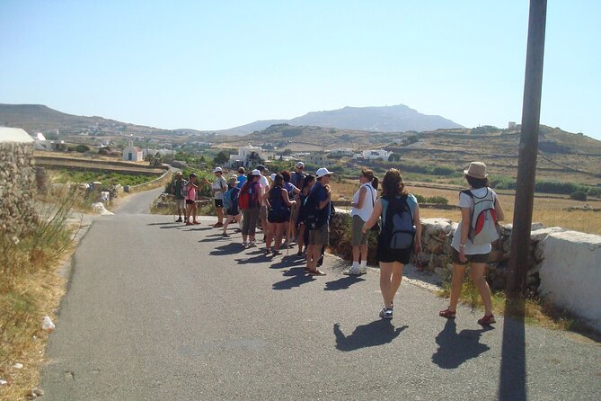 Hiking Adventure in Mykonos With Lunch Option - Savoring the Traditional Greek Lunch Upgrade