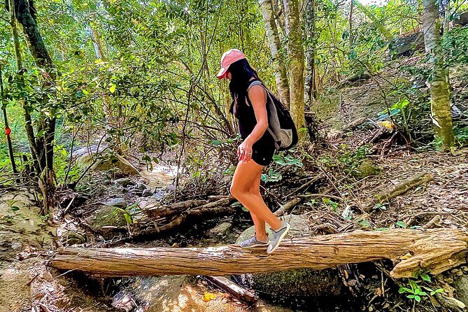 Hiking Adventure in Puerto Vallarta - Hiking Adventure in Puerto Vallarta