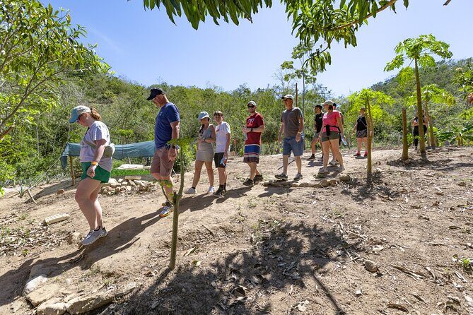 Hiking Adventure in Puerto Vallarta - Analyzing the Value