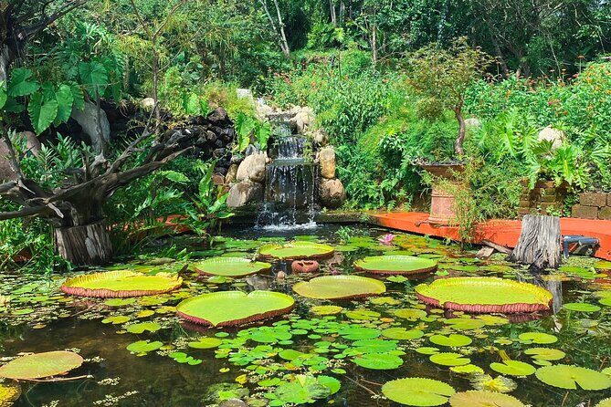 Hiking Adventure in Puerto Vallarta - Frequently Asked Questions