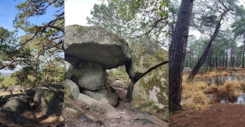 Hiking Adventure in the Fontainebleau Forest - Final Thoughts