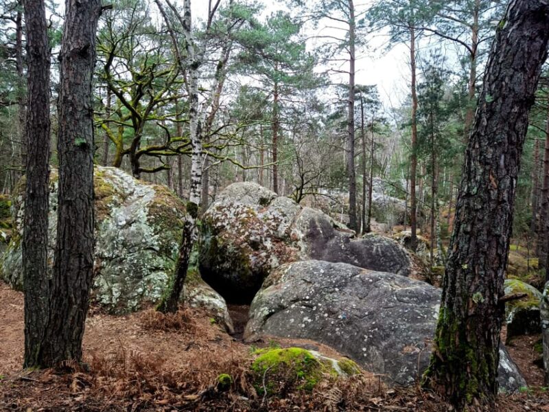 Hiking Adventure in the Fontainebleau Forest - FAQ