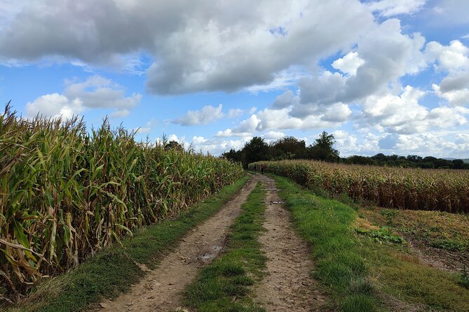 Hiking Adventure in Van Goghs Footsteps (6 Miles Walk) - Meeting Point and Start Time