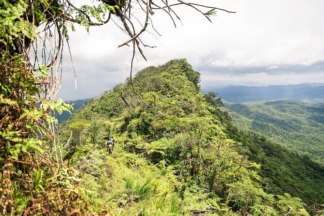 Hiking Adventure including Fiji's Highest Mountain and 3 Nights - Exploring Fiji’s Hidden Highs: A Detailed Look at the 4-Day Hiking Adventure