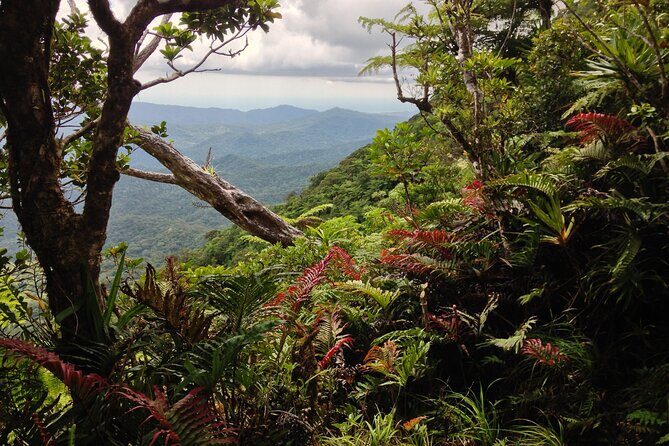 Hiking Adventure including Fiji's Highest Mountain and 3 Nights - Key Points