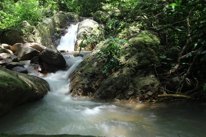 Hiking Adventure: River Trails & Waterfall Wonders - Key Points