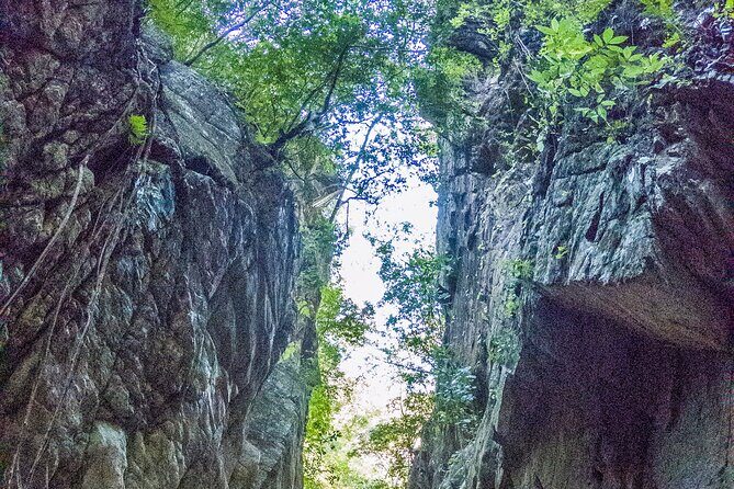 Hiking Adventure: River Trails & Waterfall Wonders - FAQ