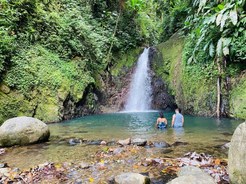 Hiking Adventure - A Detailed Look at the Grenada Rainforest Hike