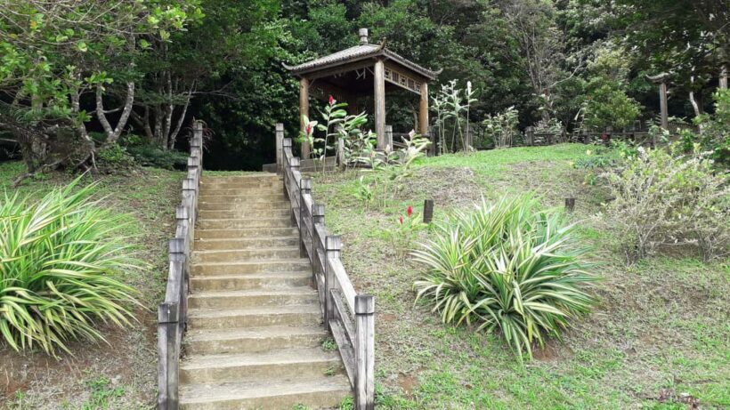 Hiking Adventure Through Grand E'tang RainForest - Authentic Experiences & Typical Feedback