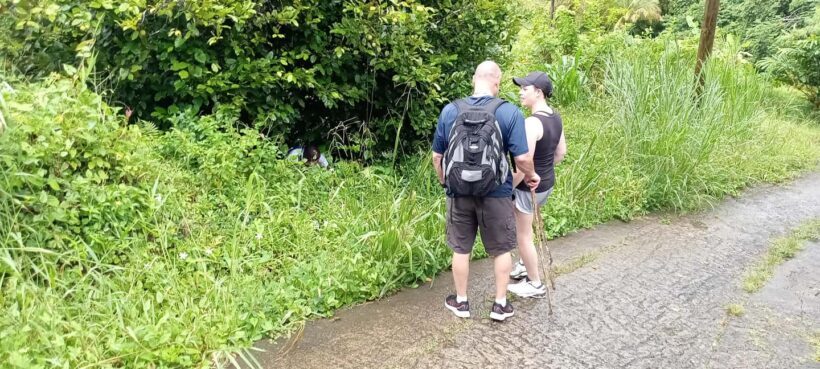 Hiking Adventure Through Grand E'tang RainForest - FAQ: Common Questions About the Grand Etang RainForest Tour