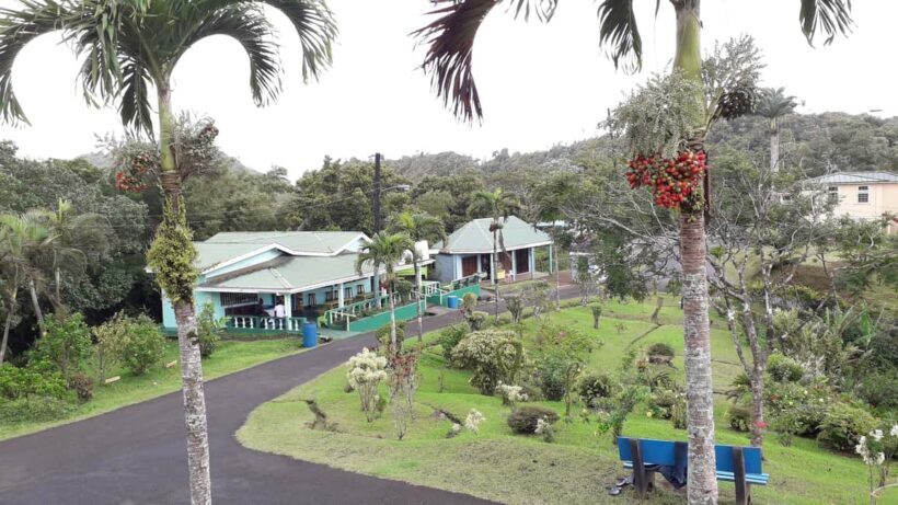 Hiking Adventure Through Grand E'tang RainForest - Final Word