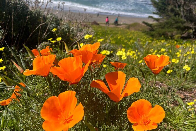 Hiking along Pacifica State Beach Coastline - Who Should Consider This Tour?