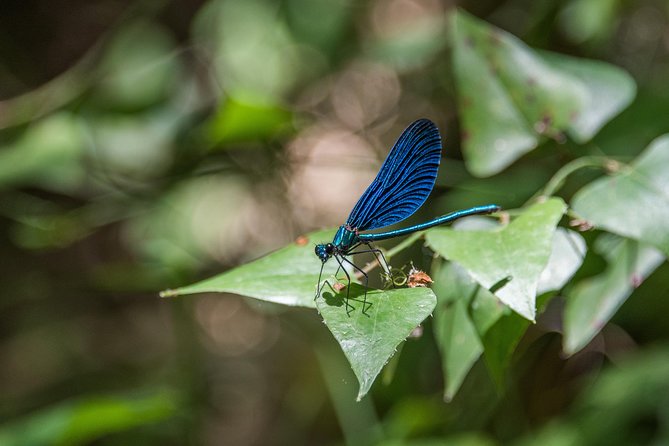 Hiking and Archery in Polilimnio - Savoring the Local Culinary Delights
