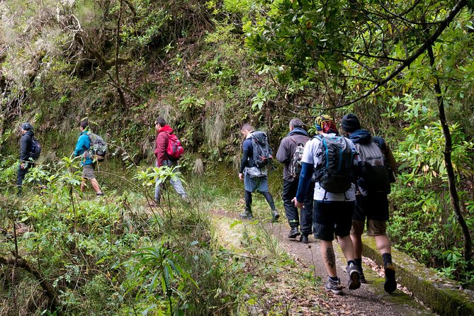 Hiking and Trekking Tours in Madeira - About Your Stay