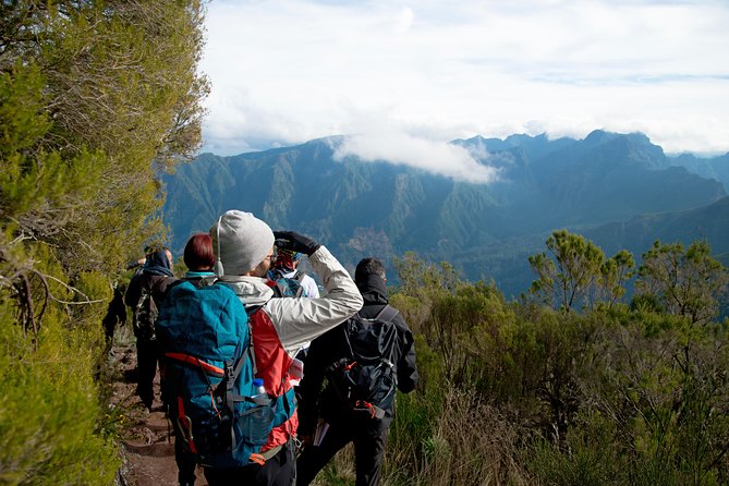 Hiking and Trekking Tours in Madeira - Details on Pickup Points and Tour Start Times