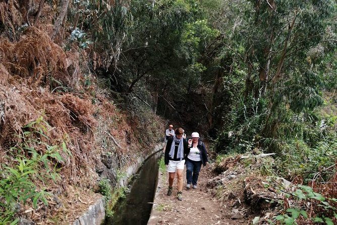 Hiking and Trekking Tours in Madeira - Understanding the Pricing and Whats Included