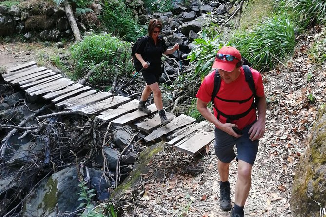 Hiking and Trekking Tours in Madeira - Health and Accessibility Considerations for Participants