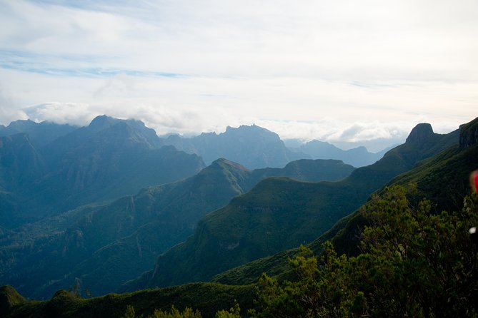 Hiking and Trekking Tours in Madeira - Insights From Past Travelers: Reviews and Testimonials